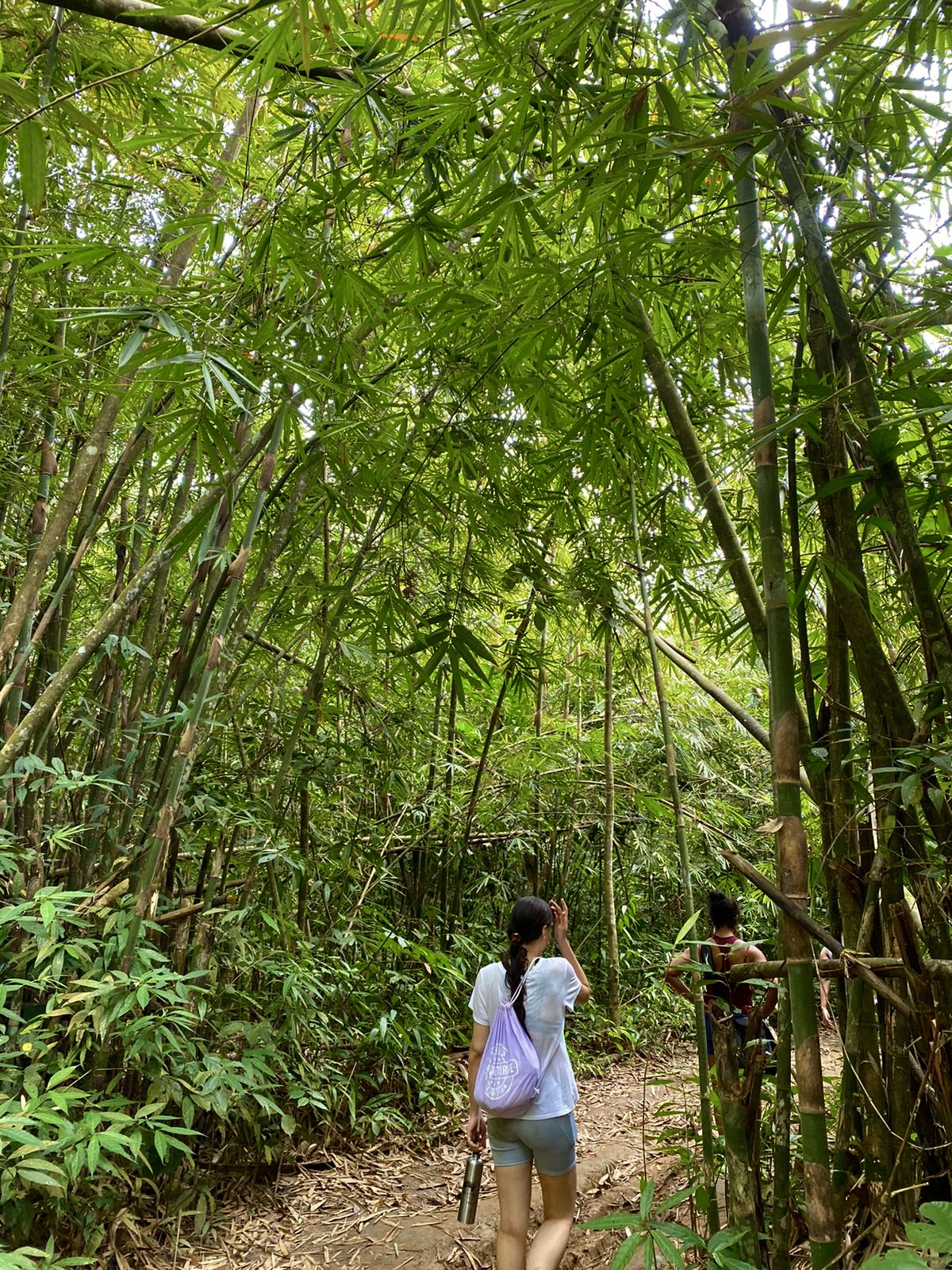 Tips and Tricks: Hiking Lepoh Waterfall, Hulu Langat – Raisa Reviews